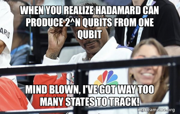 When you realize Hadamard can produce 2^N qubits from one qubit Mind ...