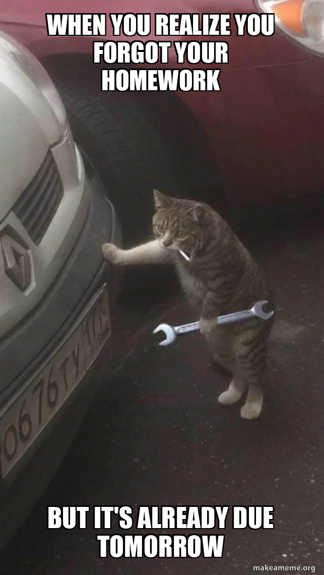 When you realize you forgot your homework But it's already due tomorrow ...