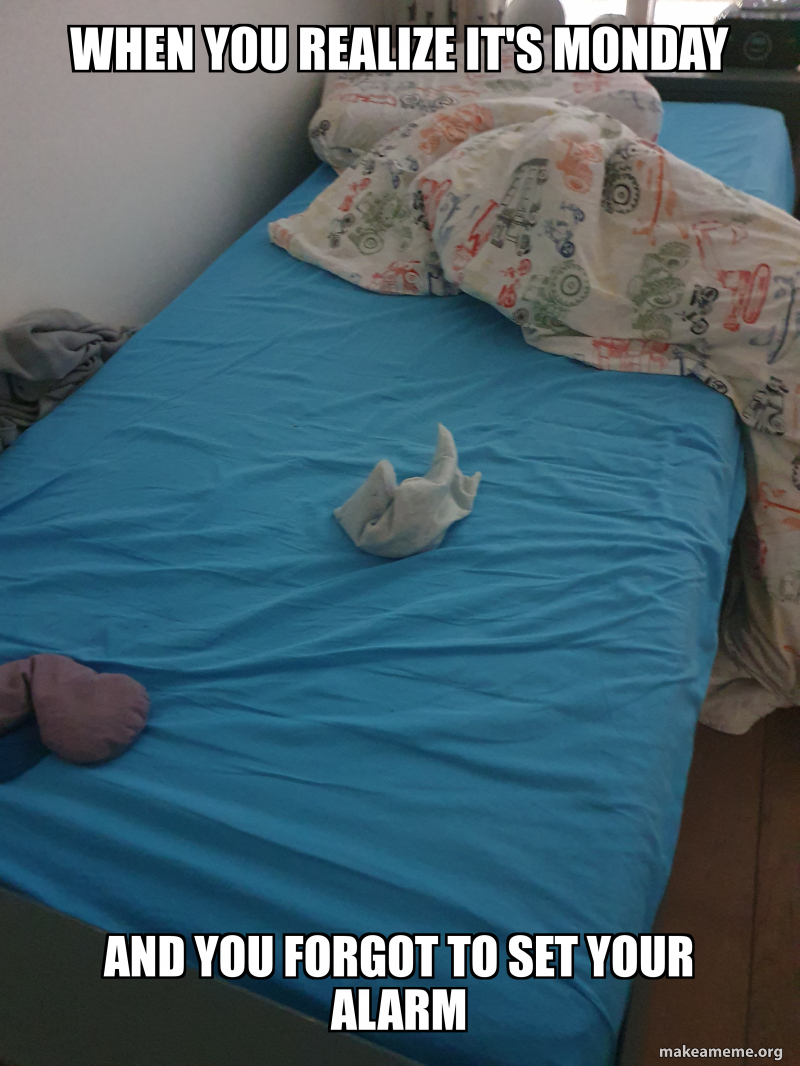 When you realize it's Monday And you forgot to set your alarm - Waneer ...