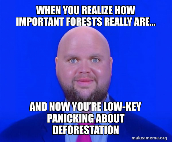 WHEN YOU REALIZE HOW IMPORTANT FORESTS REALLY ARE… AND NOW YOU’RE LOW ...