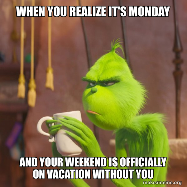 When you realize it's Monday And your weekend is officially on vacation ...