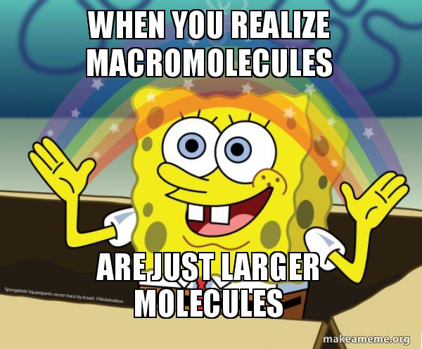 When you realize macromolecules Are just larger molecules - Rainbow ...