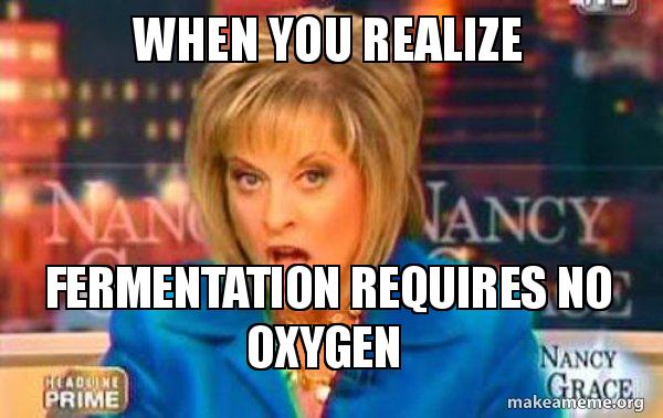 Fermentation Meme