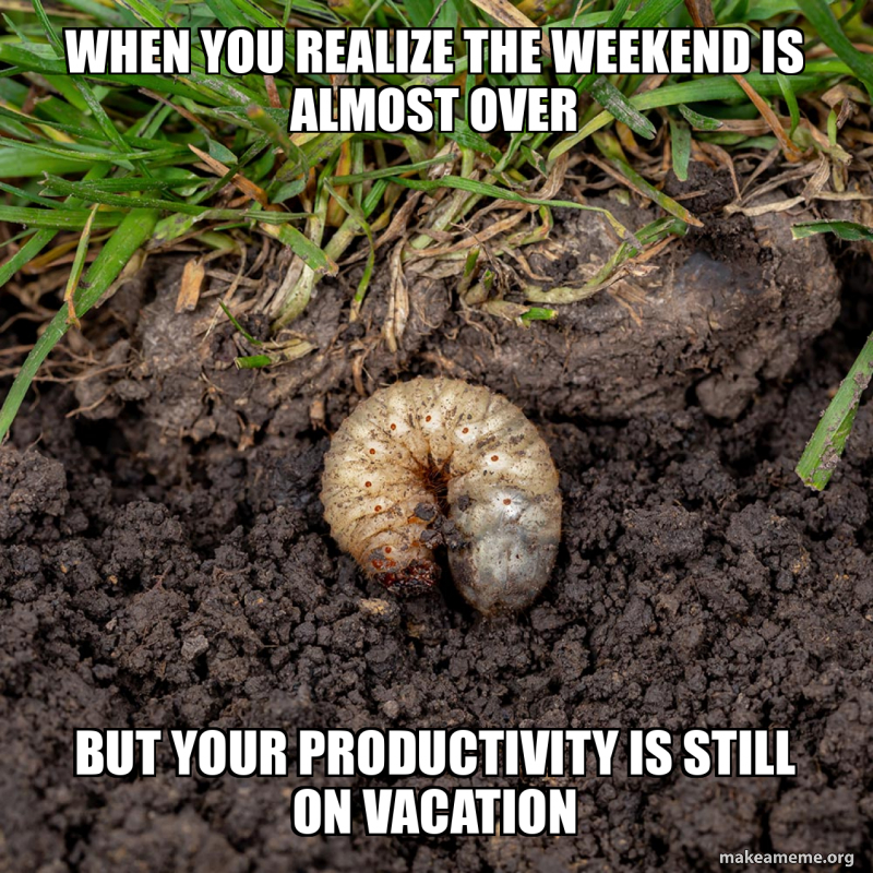 When you realize the weekend is almost over But your productivity is ...
