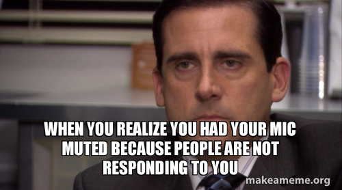 When you realize you had your mic muted because people are not ...