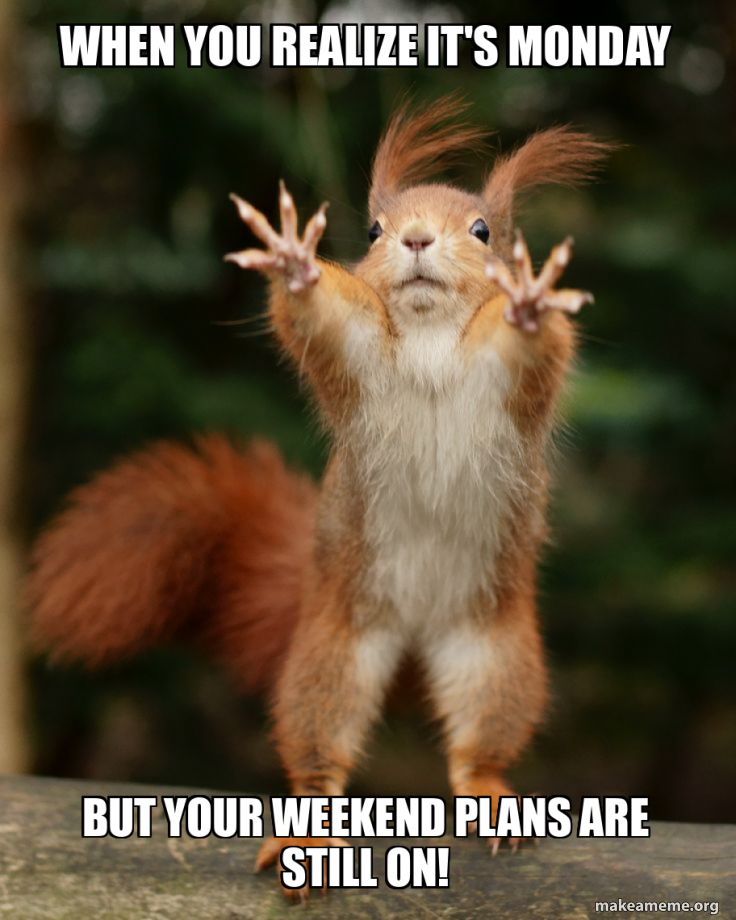 When you realize it's Monday But your weekend plans are still on ...