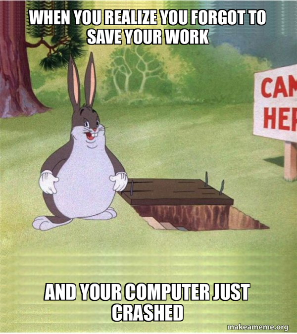 When you realize you forgot to save your work And your computer just ...