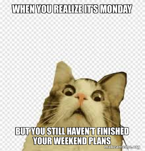 When you realize it's Monday But you still haven't finished your weekend plans Meme Generator