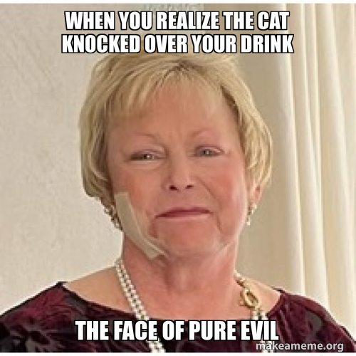 When you realize the cat knocked over your drink The Face of Pure Evil ...