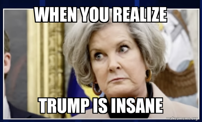 when you realize trump is insane Meme Generator