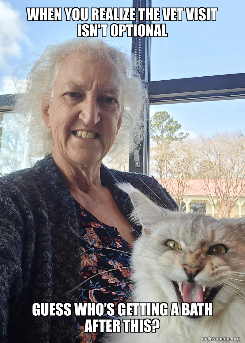 When you realize the vet visit isn't optional Guess who’s getting a ...