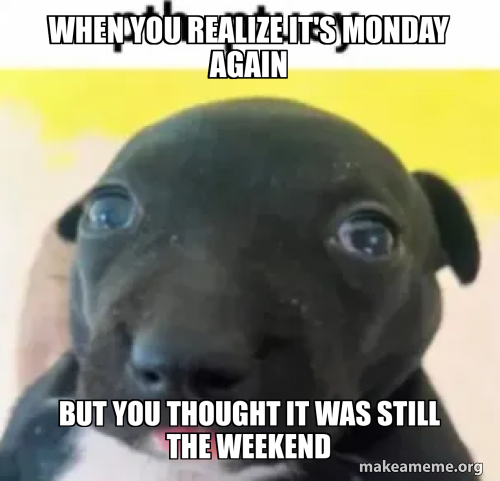 When you realize it's Monday again But you thought it was still the ...