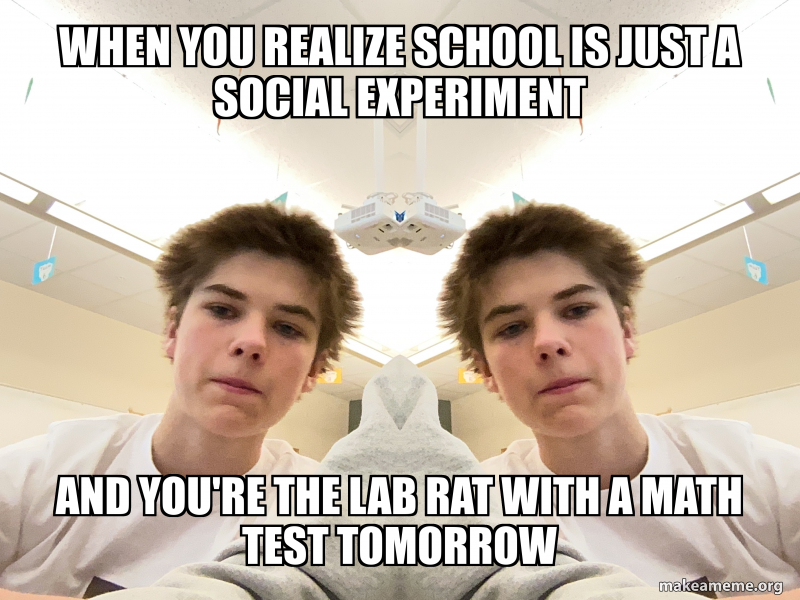 When you realize school is just a social experiment And you're the lab ...