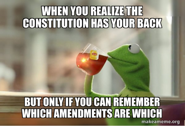 When you realize the Constitution has your back But only if you can ...