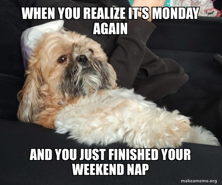 When you realize it's Monday again And you just finished your weekend ...