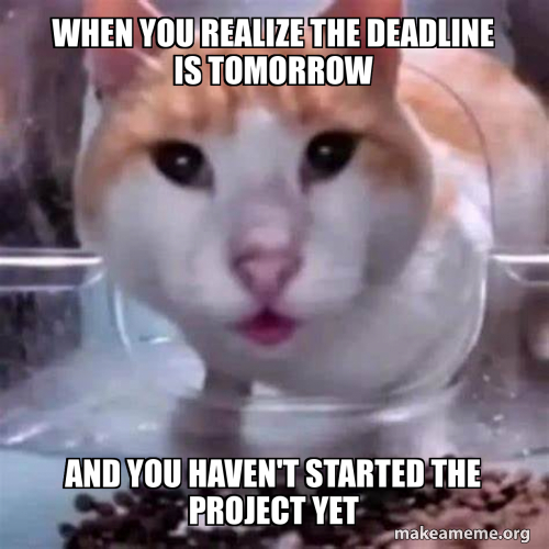 When you realize the deadline is tomorrow And you haven't started the ...