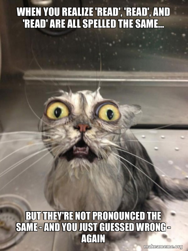 When you realize 'read', 'read', and 'read' are all spelled the same ...