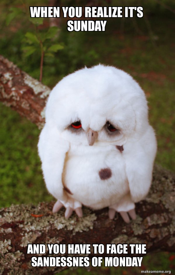 When you realize it's Sunday And you have to face the sandessnes of ...