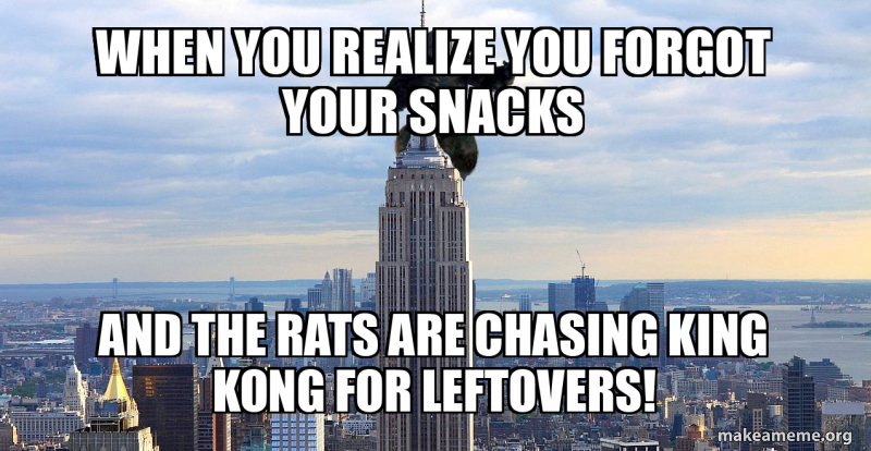 When you realize you forgot your snacks And the rats are chasing King ...