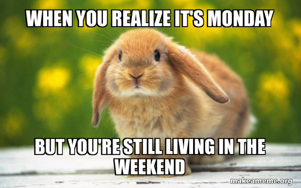When you realize it's Monday but you're still living in the weekend ...