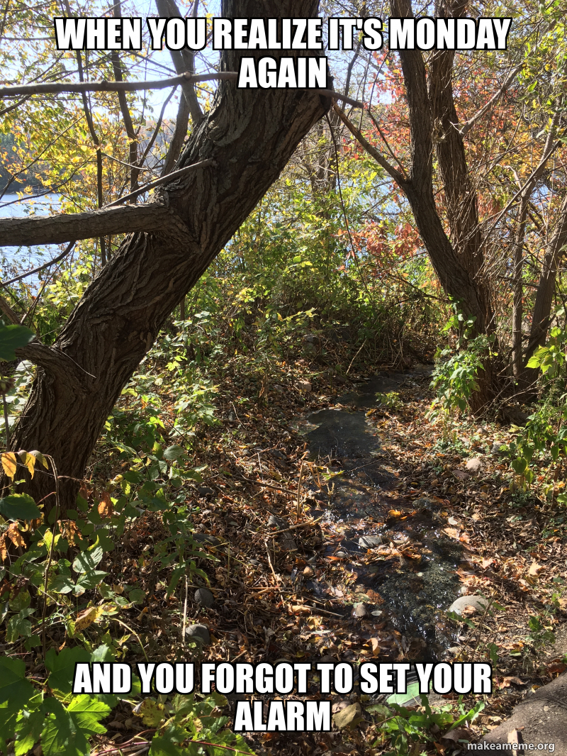 When you realize it's Monday again And you forgot to set your alarm ...