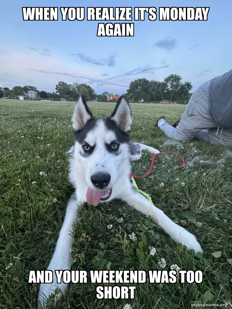 When you realize it's Monday again And your weekend was too short Meme ...