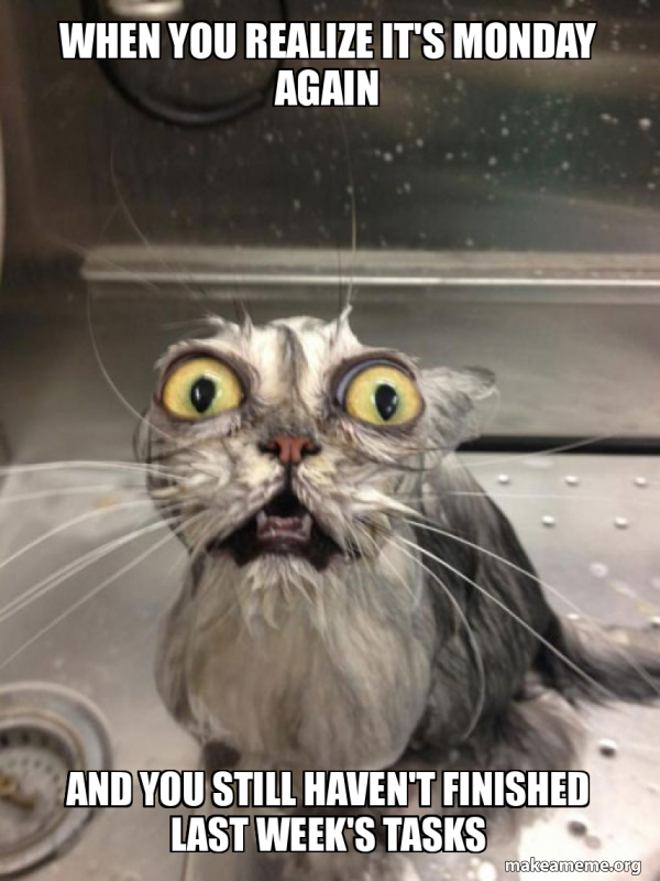 When you realize it's Monday again And you still haven't finished last ...