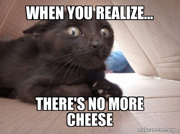 when you realize... there's no more cheese - Schitzo Cat Meme Generator