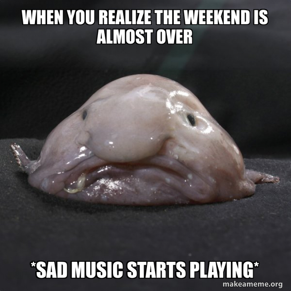 When you realize the weekend is almost over *sad music starts playing ...