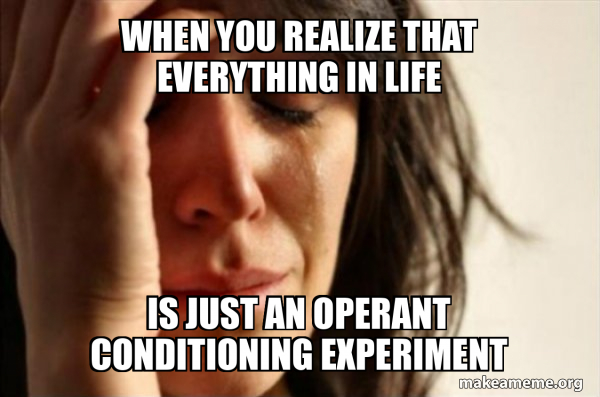 When you realize that everything in life Is just an operant ...