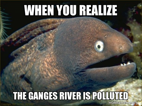 When you realize the Ganges river is polluted - Bad Joke Eel Meme Generator