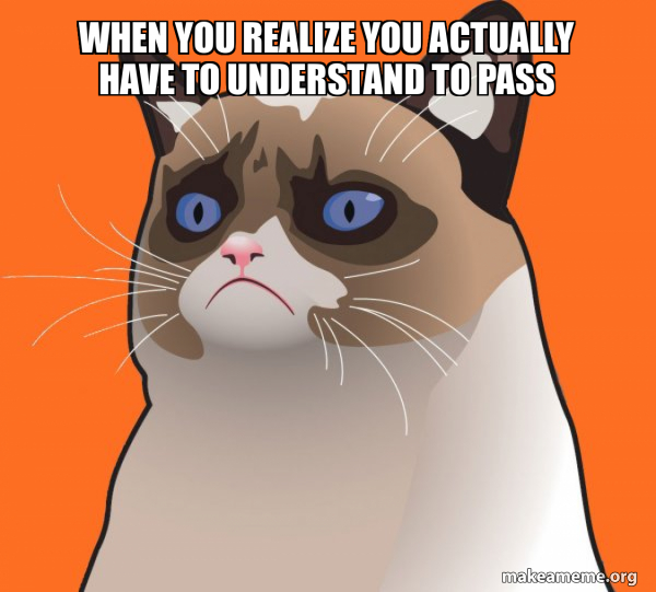 When you realize you actually have to understand to pass - Cartoon ...