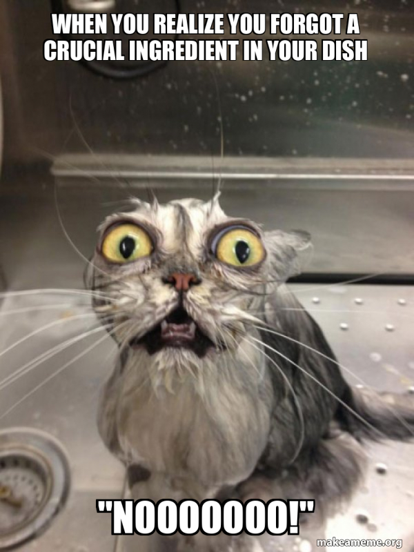When you realize you forgot a crucial ingredient in your dish "NOOOOOOO ...