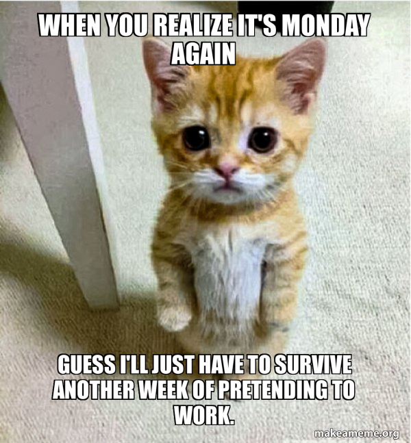 When you realize it's Monday again Guess I'll just have to survive ...