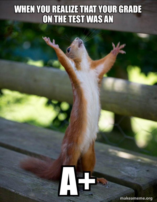When you realize that your grade on the test was an A+ - Happy Squirrel ...