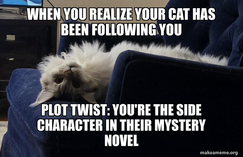 When you realize your cat has been following you Plot twist: You're the ...
