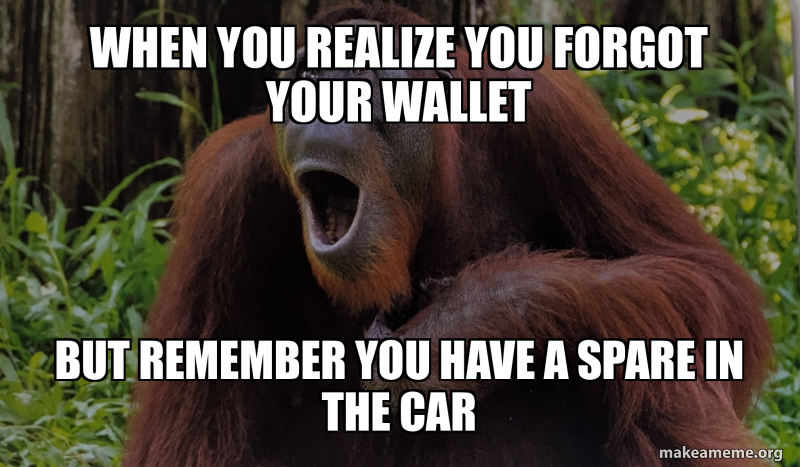 When you realize you forgot your wallet But remember you have a spare ...