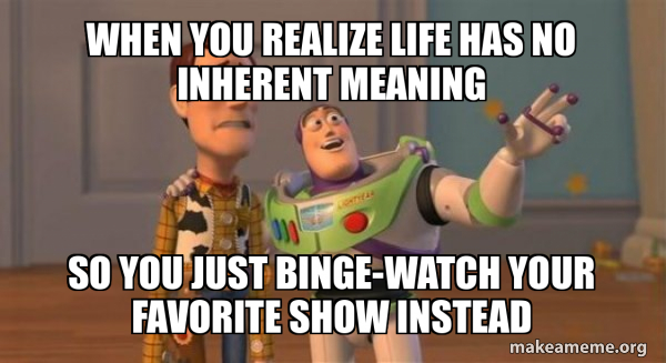 When you realize life has no inherent meaning So you just binge-watch ...
