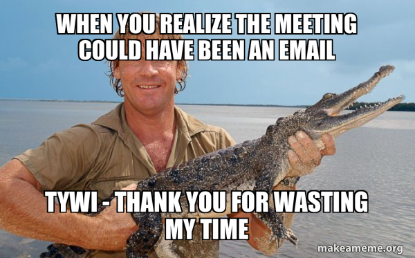 When you realize the meeting could have been an email TYWI - Thank You ...