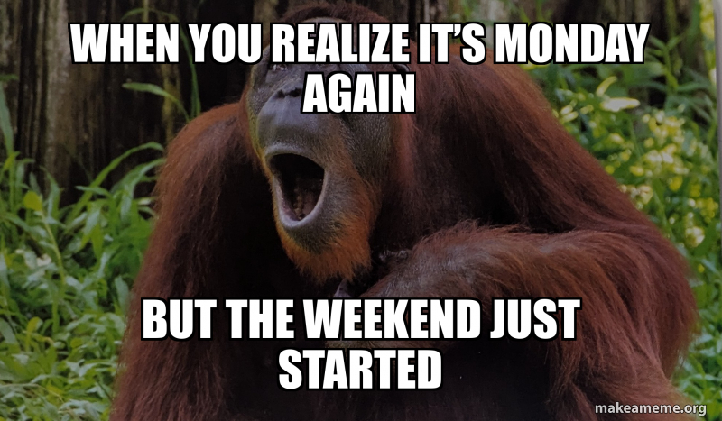 When you realize it’s Monday again But the weekend just started Meme ...