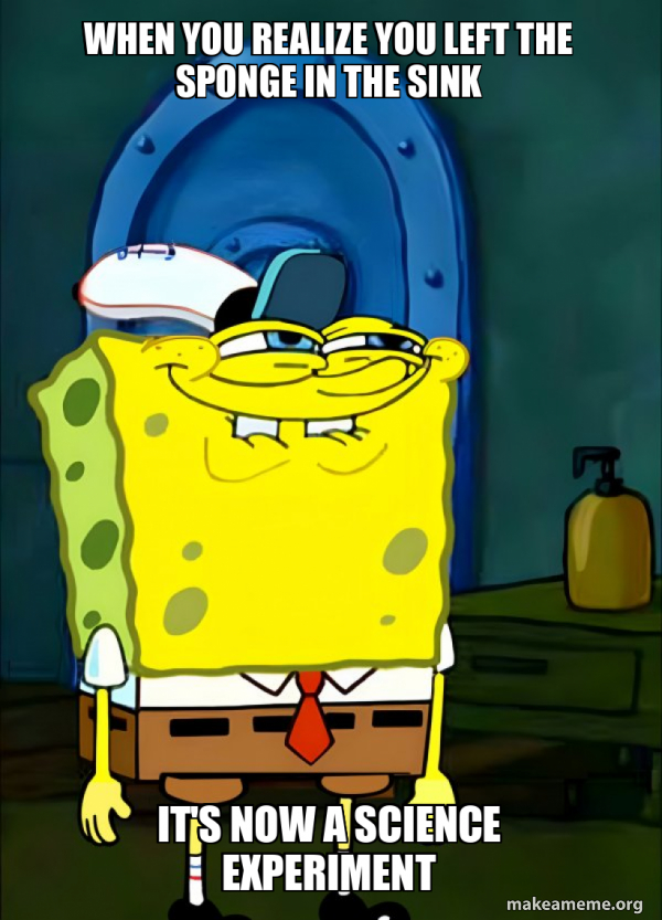 When you realize you left the sponge in the sink It's now a science ...