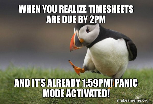 When you realize timesheets are due by 2pm And it’s already 1:59pm! Panic mode activated ...