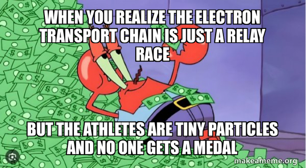 When you realize the electron transport chain is just a relay race but ...
