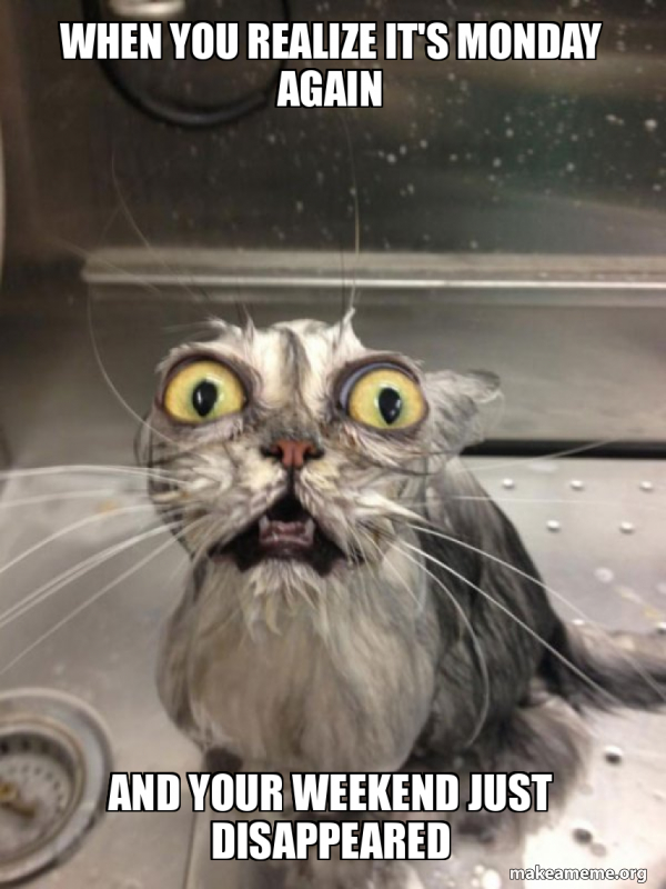 When you realize it's Monday again And your weekend just disappeared ...