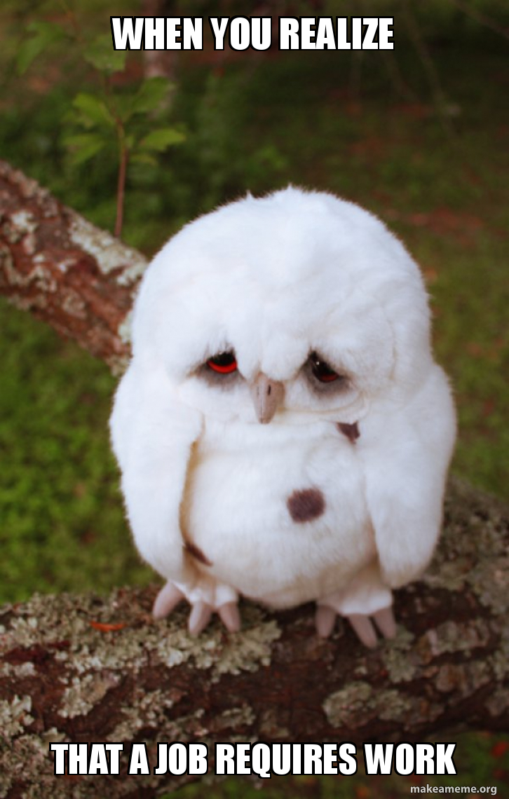 When You Realize That A Job Requires Work - Sad Owl Meme Generator