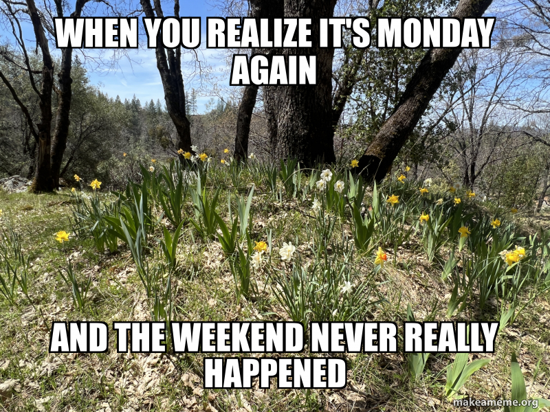 When you realize it's Monday again And the weekend never really ...