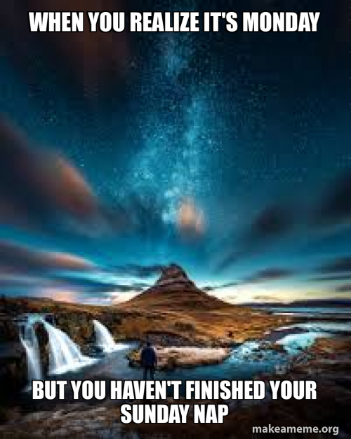 When you realize it's Monday But you haven't finished your Sunday nap ...