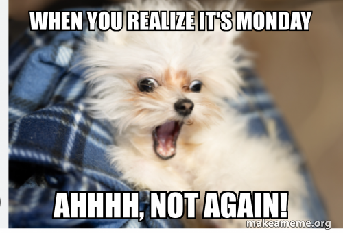 When you realize it's Monday Ahhhh, not again! Meme Generator