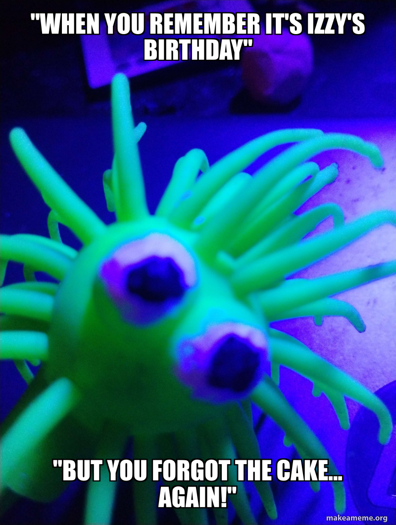 "When you remember it's Izzy's birthday" "But you forgot the cake ...