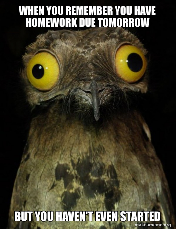 when you remember you have homework due tomorrow but you haven't even ...